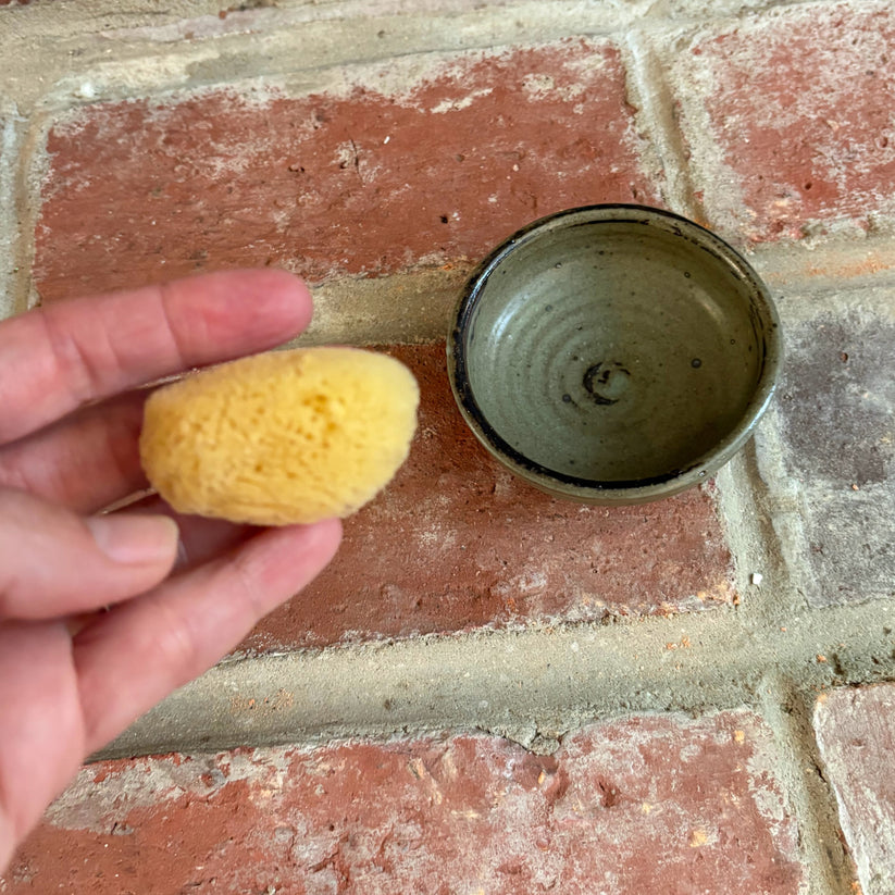 Leaf Washing – Crafting Your Classroom