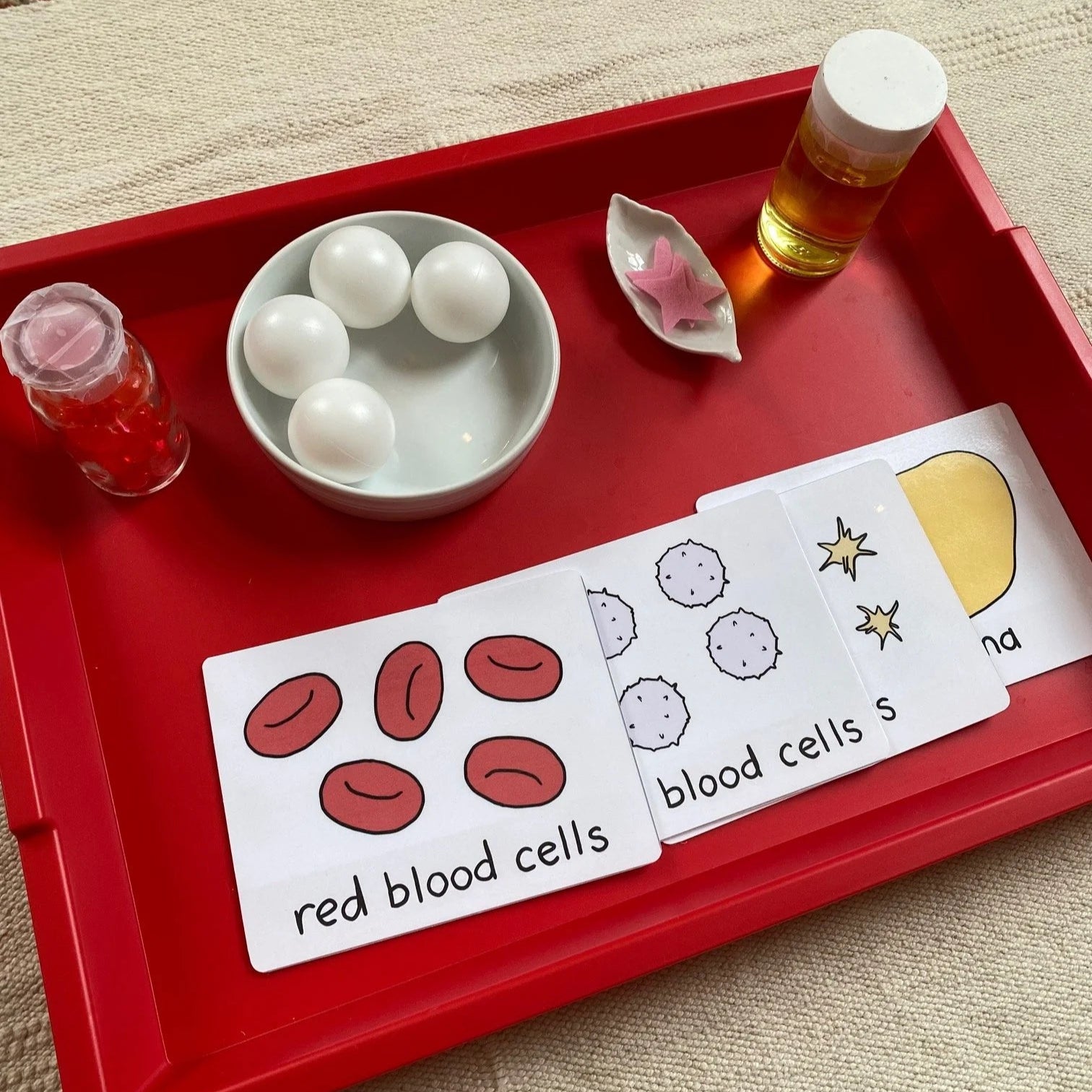 Parts of Blood – Crafting Your Classroom